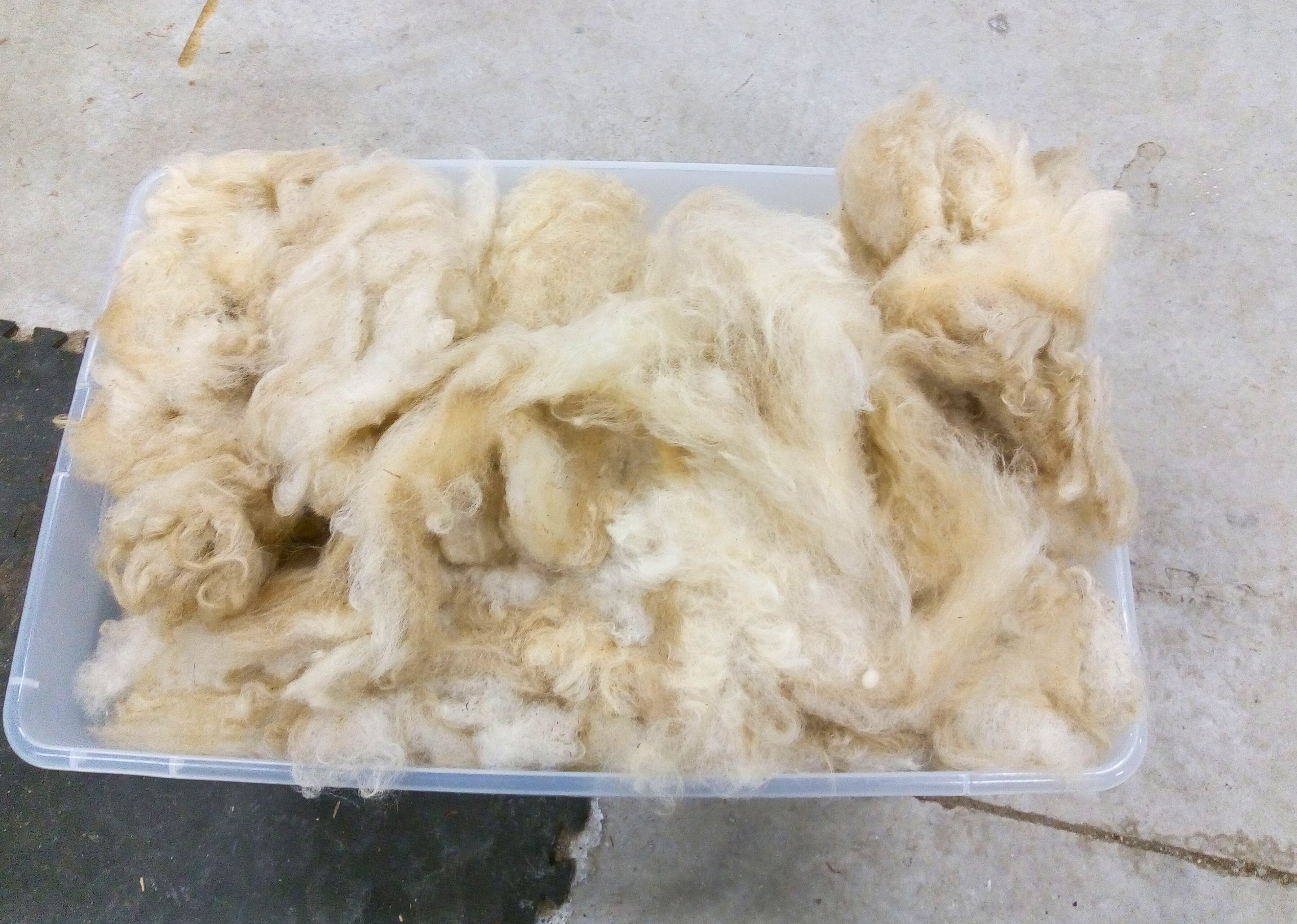Processing Wool Fleece at a Local Mill: Lessons Learned ...